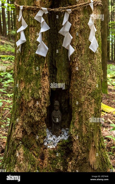 Sacred Tree In Holy Mt Buko Small Statue And Coins In Old Cedar