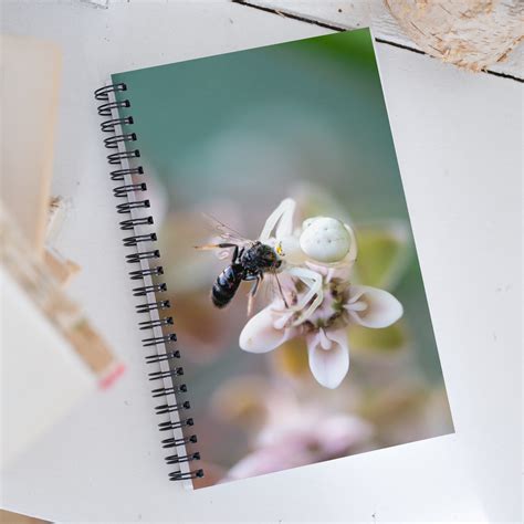 Snacking Spider Spiral Notebook Designs By Fox