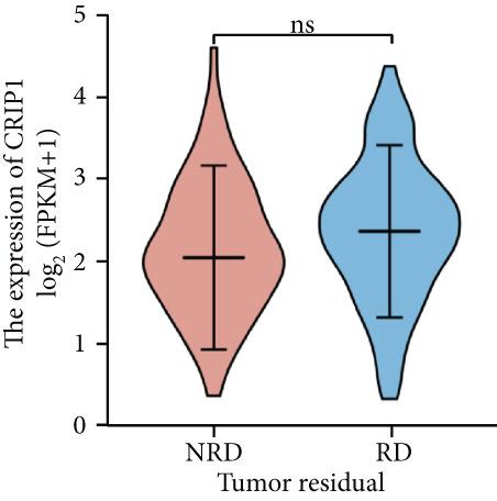 Correlation Analysis Between CRIP Expression And Clinical Download Scientific Diagram