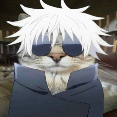 Gojo Satoru Cat Meme