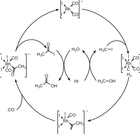 Catalytic Cycle Diagram At Daniel Shears Blog