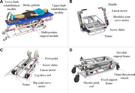 Frontiers Research On The Method Of Identifying Upper And Lower Limb