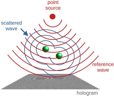 The Lensless Holographic Microscopy Principle The Light Emitted By A