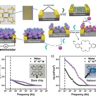 A Schematic Layerbylayer Fabrication Of CRs Based On Covalently Download Scientific Diagram