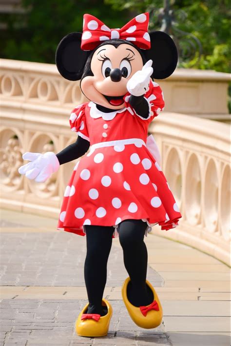 Pin By M On Minnie Mouse Disney World Characters Minnie Mouse