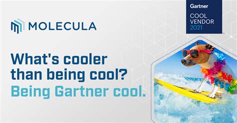 Scottie Gonzalez On Linkedin We Are Ecstatic To Be Named A Gartner