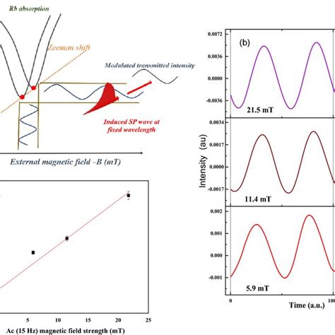 A Schematic Diagram Of Transmitted Light Modulation From Sp Atom Download Scientific Diagram