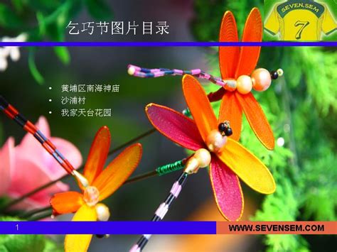 我家湾仔是女的 成长日记35（荐） 志影网络