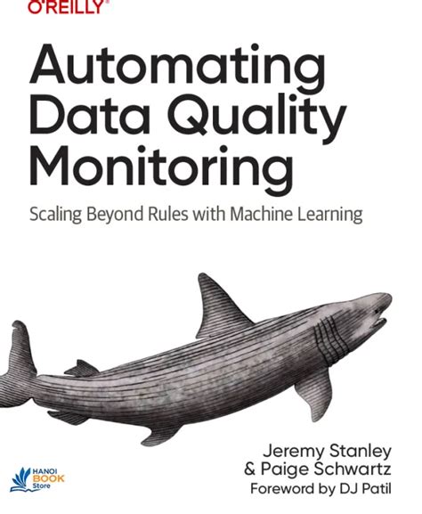Automating Data Quality Monitoring Scaling Beyond Rules With Machine