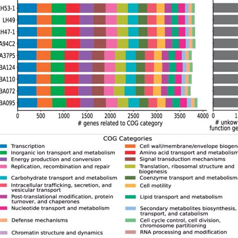 Cog Functional Categories Representation Of The Predicted Genes For The