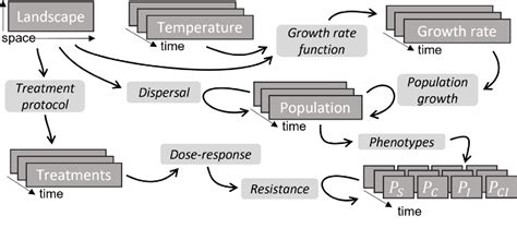Figure 1 From Managing Pesticide Resistance In Spodoptera Frugiperda A Spatially Explicit