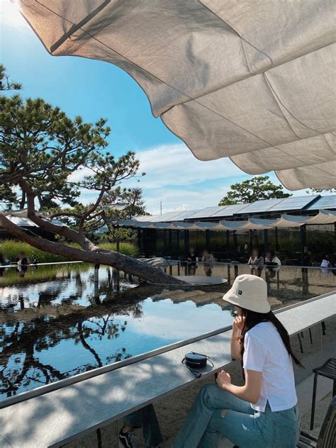 강원도강릉 엔드 투 앤드 카페 Ft 야외정원 맛집애견동반 카페 End To And 네이버 블로그