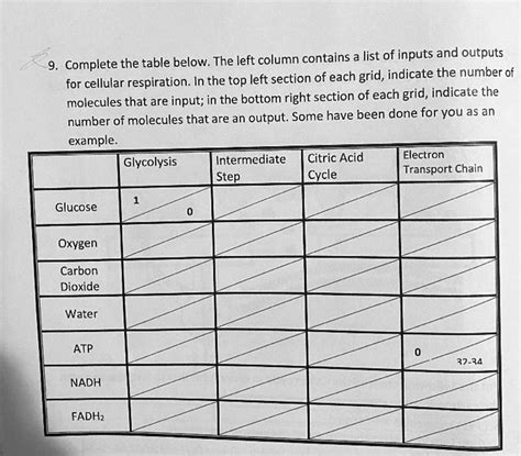 Inputs And Outputs Of Citric Acid Cycle
