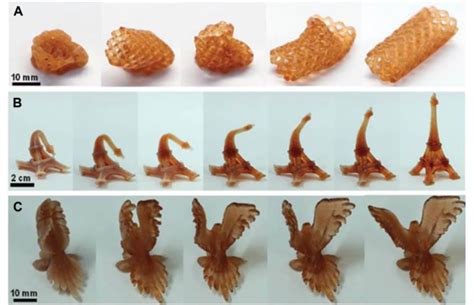 3d Printing Of Shape Memory Polymers B D Demonstration Of The Download Scientific Diagram