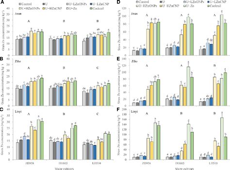 Figure 3 From Biofortification Of Different Maize Cultivars With Zinc Iron And Selenium By
