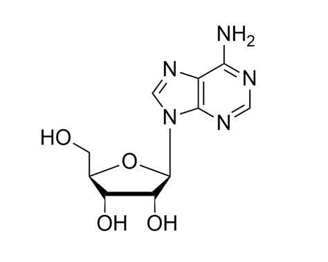 Adenosine Cas 58 61 7 Adenosine C10h13n5o4 For Dna Rna Modifications