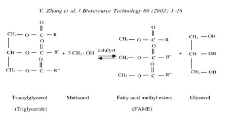 A Schematic Representation Of The Transesterification Of Triglycerides Download Scientific