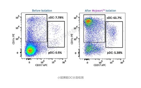 Dc细胞检测 流式检测外包公司 普拉特泽生物