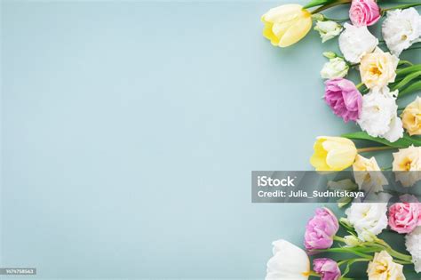 해피 어머니의 날을위한 축제 구성 파스텔 블루 배경에 봄 화려한 꽃입니다 꽃 식물에 대한 스톡 사진 및 기타 이미지 꽃 식물 배경 주제 어버이날 Istock