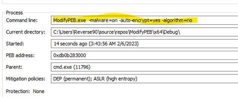 manipulating process peb for antiforensic cyber security architect