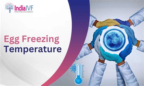 Egg Freezing Temperature Optimal Conditions For Egg Preservation