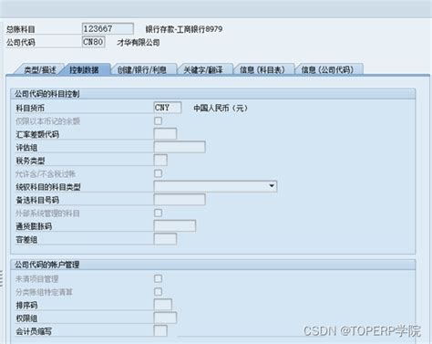 Sap系统 会计科目主数据详解 Sap 总账科目组类别 解释 Csdn博客