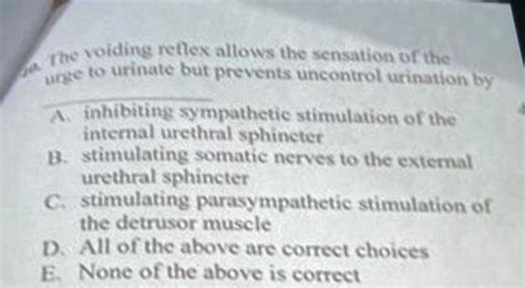 A The Voiding Reflex Allows The Sensation Of The