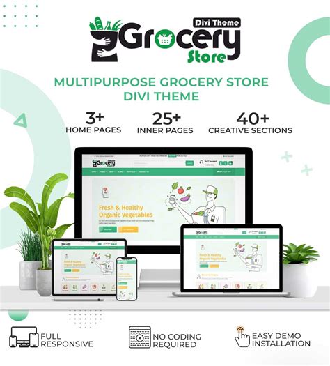Grocery Store Divi Woocommerce Theme Divi
