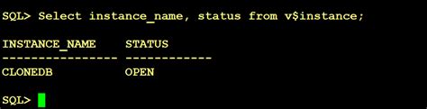 Master RMAN Cloning Seamlessly Transition From Prod To Test