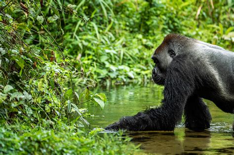 One Tree Planted Added A New Photo One Tree Planted