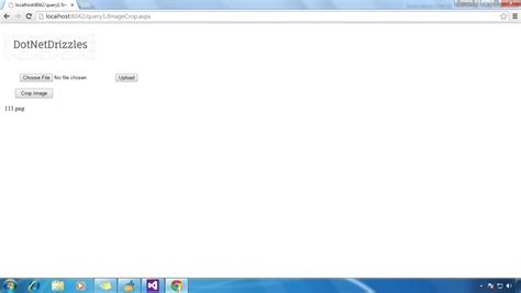 Aspnetcnetvbnetjqueryjavascriptgridviewsql Serverajaxssrs