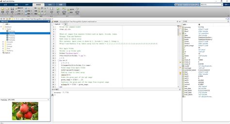 基于maltab果树识别系统 索炜达猿创