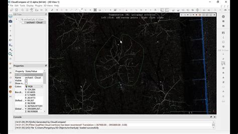 Tree Branch Skeleton Algorithmpreprocesstree Segmentation Youtube