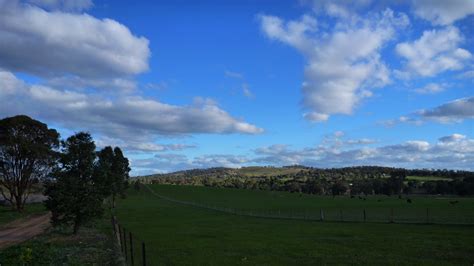 new ubuntu and linux mint wallpaper lovely green field and cows securitron linux blog