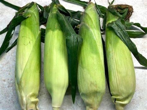 The Slickest Way To Cook Corn On The Cob And Leave Those Silks Behind Recipe Corn In The