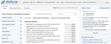 Cbio Portal Api Card