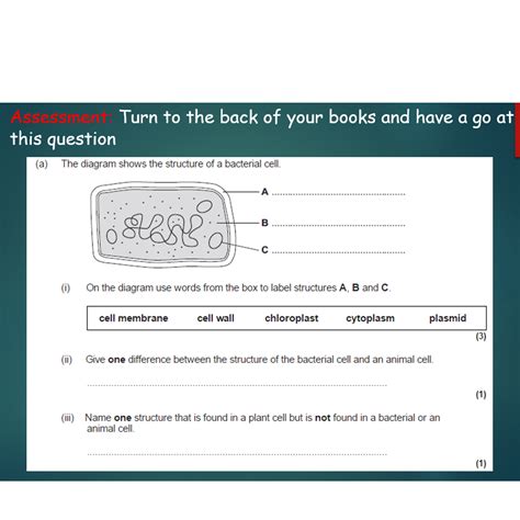 B13 Eukaryotic And Prokaryotic Cells Teaching Resources