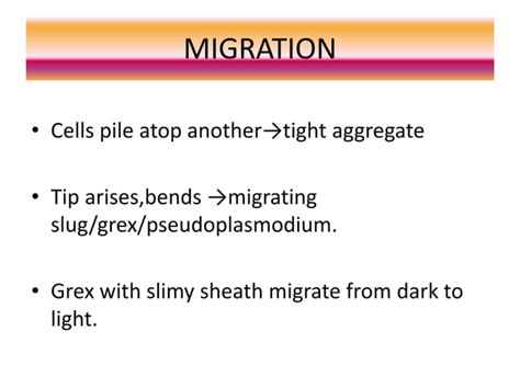 Cell Aggregation And Differentiation In Dictyostelium007 Pptx