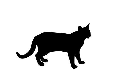SVG 착한 애 고양이 무료 SVG 이미지 및 아이콘 SVG Silh