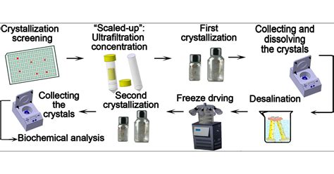 Crystallization Biology Simple