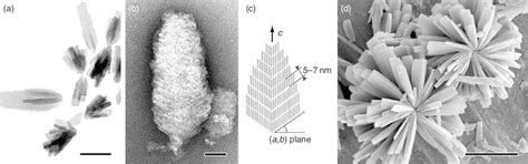 A Tem Image Of A Type Crystals Prepared By Crystallization Of Dilute