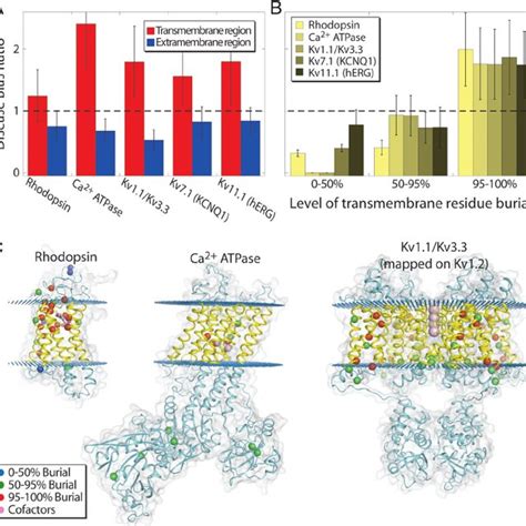 Structure Of Gpi Anchored Proteins A Signals Of Gpi Anchored Download Scientific Diagram