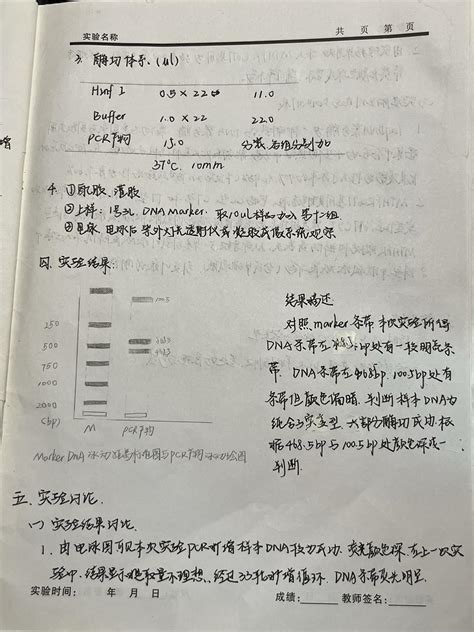 生物化学与分子生物学实验报告 知乎