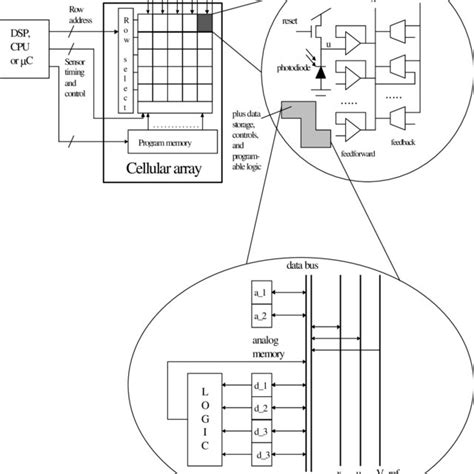Layout Of The Vlsi Adapted Cellular Neural Network Models Implemented Download Scientific