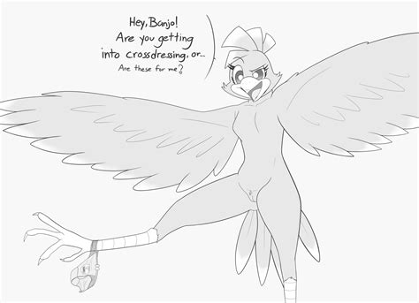 Rule 34 Anthro Avian Banjo Kazooie Bird Breegull Clothing Female