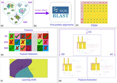 Illustrates The Framework Of Proposed Protein Fold Recognition Method Download High