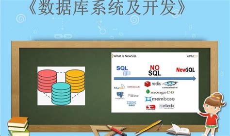 数据库系统与开发