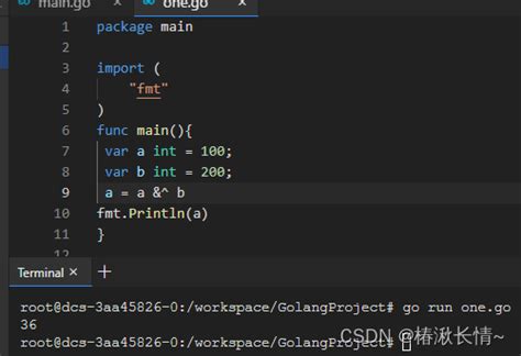Golang中的按位异或和＜＜左移 、＞＞右移以及and位清移运算符号golang