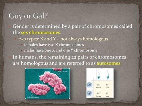 Unlocking The Secrets Of Complex Inheritance Patterns Answer Key