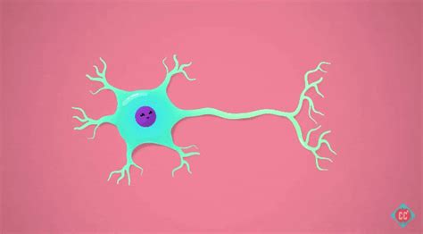 Neural Networks From Scratch For Javascript Linguists Part1 — The Perceptron Hackernoon